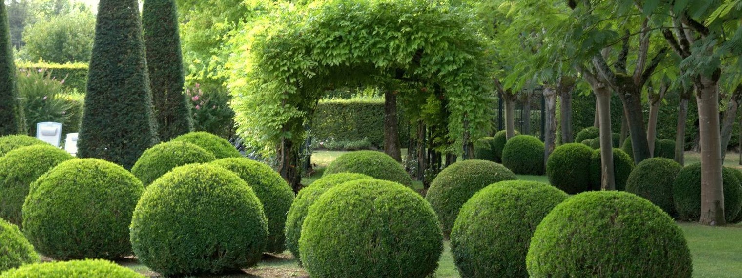 6 Соток и Сергей