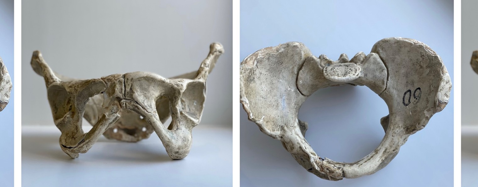 Беседы с акушеркой