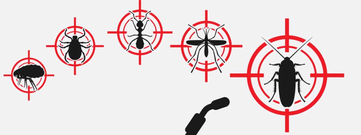 Уничтожение насекомых в Москве от VipDez.ru