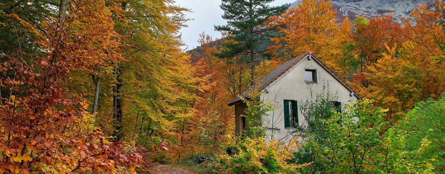 Дарья Пыркова