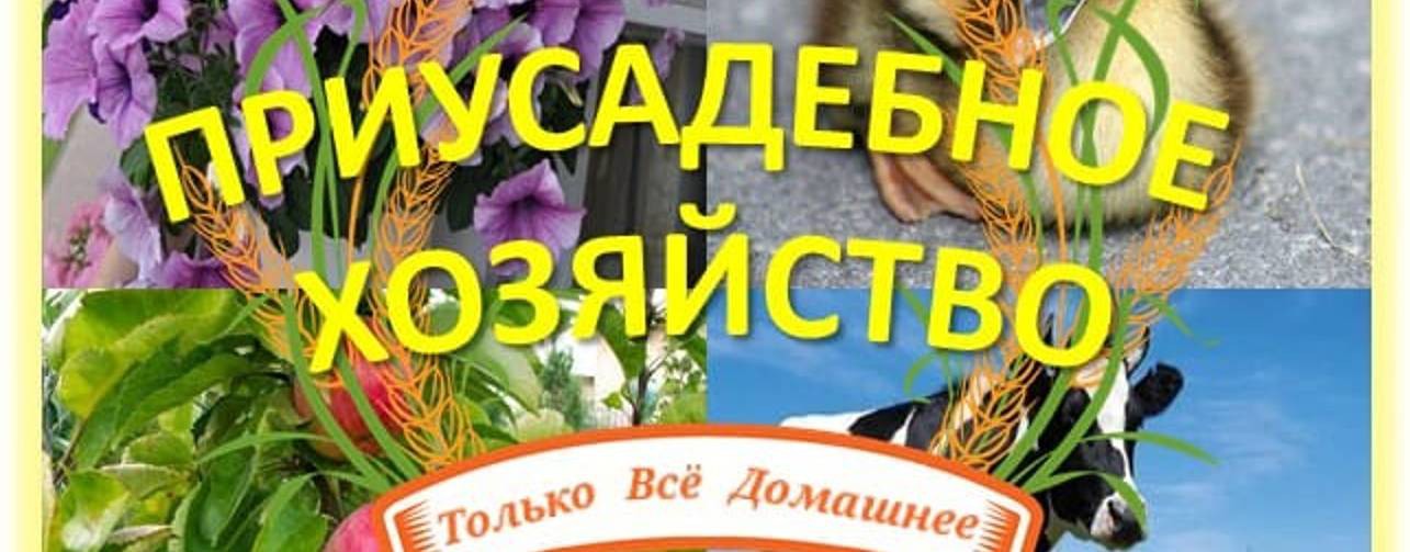 Приусадебное хозяйство
