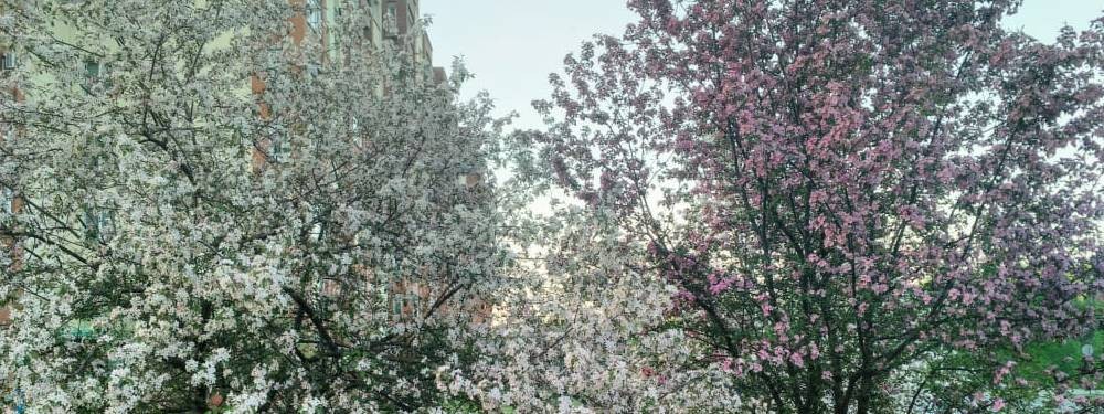 Психолог Александра Павловская