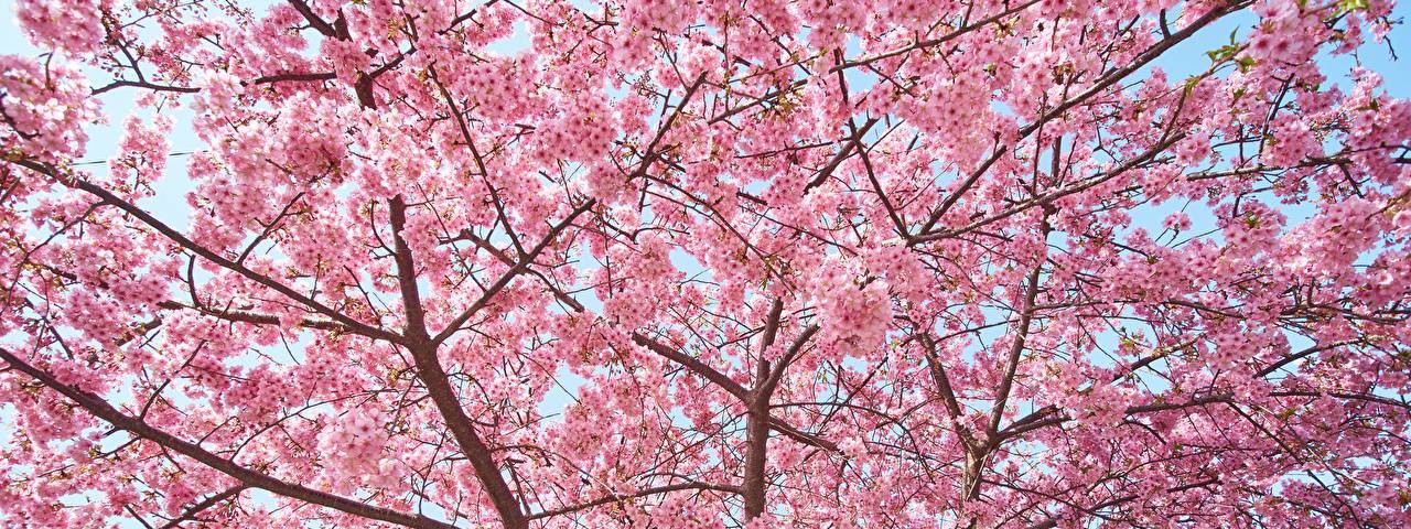 Вера Зайцева