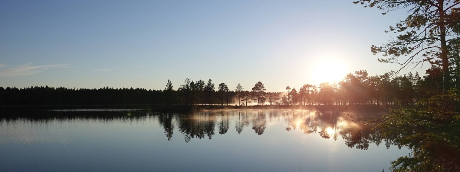 Песни Юлии Любимовой