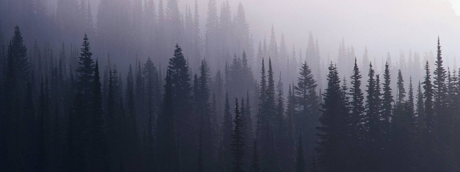 Программист из глубинки