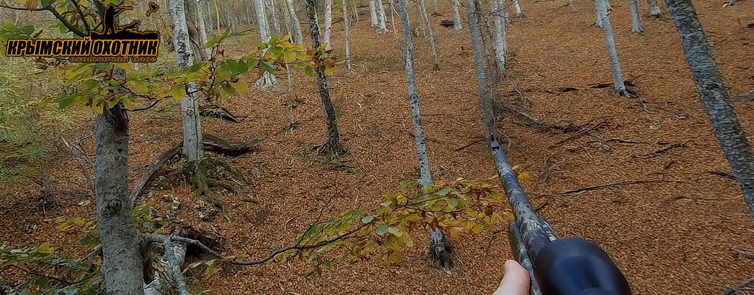 Крымский охотник