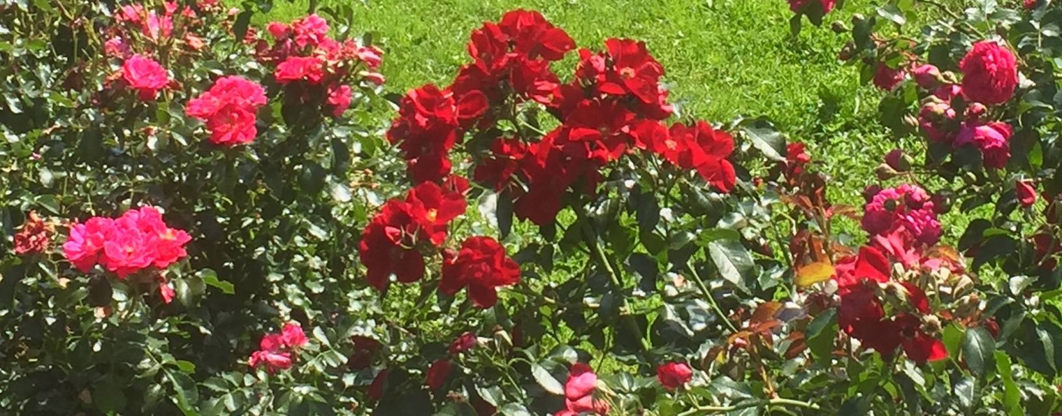 ЯРКИЕ ЭМОЦИИ И МОМЕНТЫ