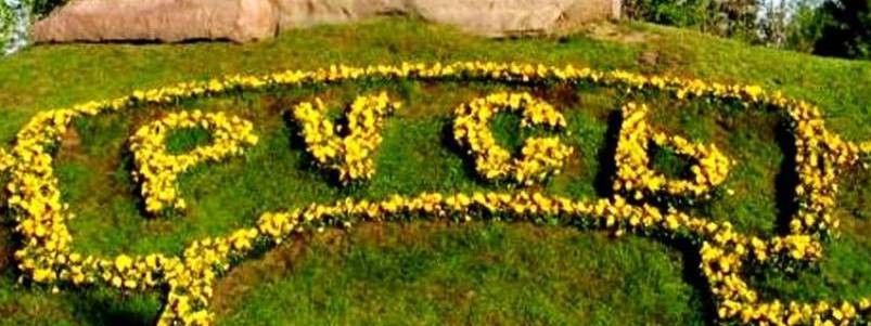 РУС Оре Александр Семенов