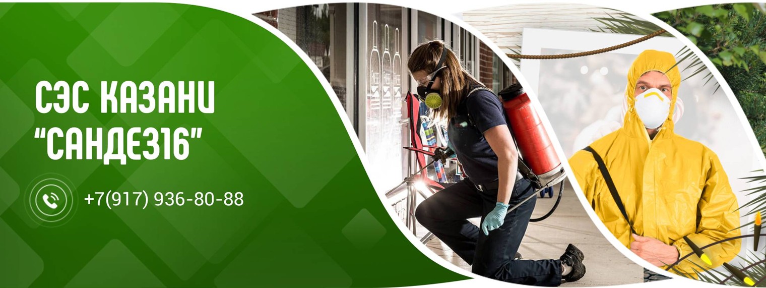 Санэпидемстанция Казани "Сандез 16"