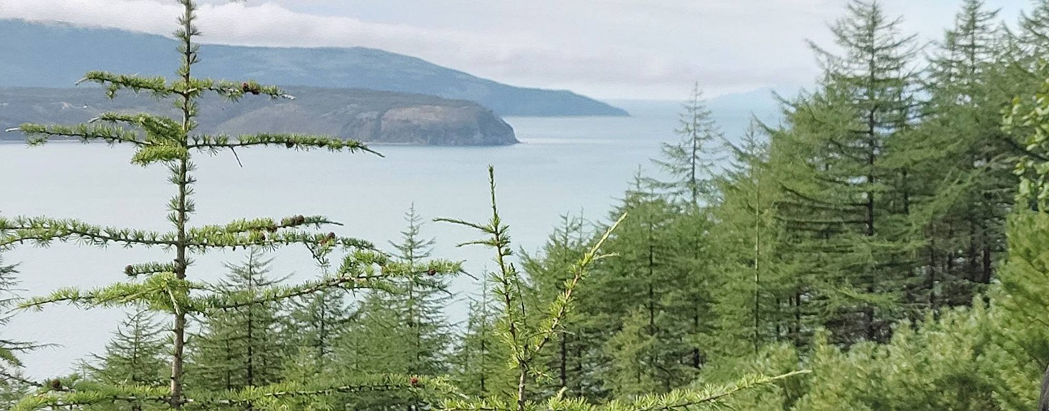 Ирина Байкалова