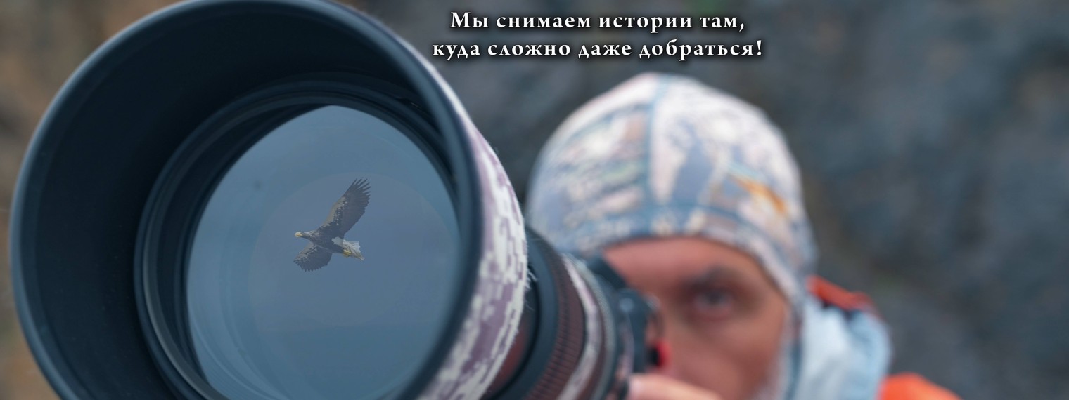 студия "СЭВЭН"