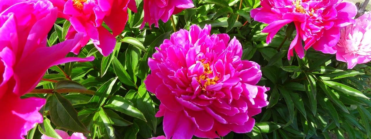 В Гостях у Татьяны