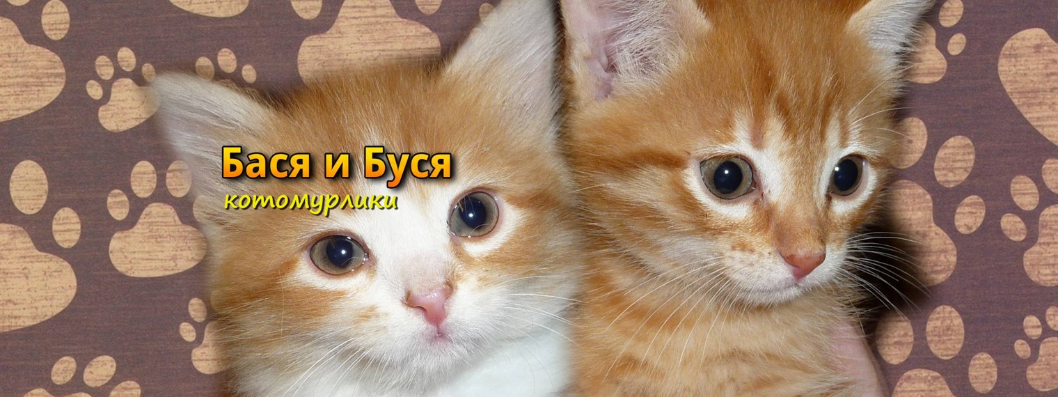 Бася и Буся