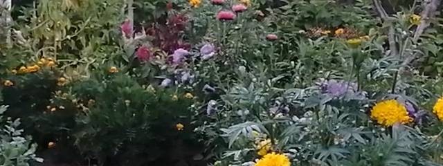 Кубанское подворье