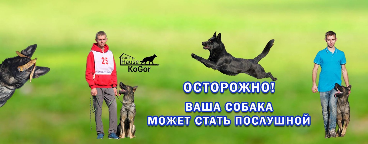 Кинолог Егор Горбунов