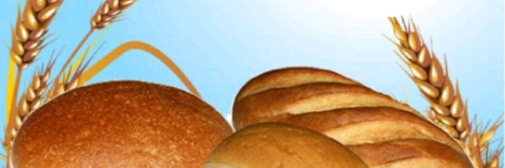 Михаил Владимирович_Еврооборудование