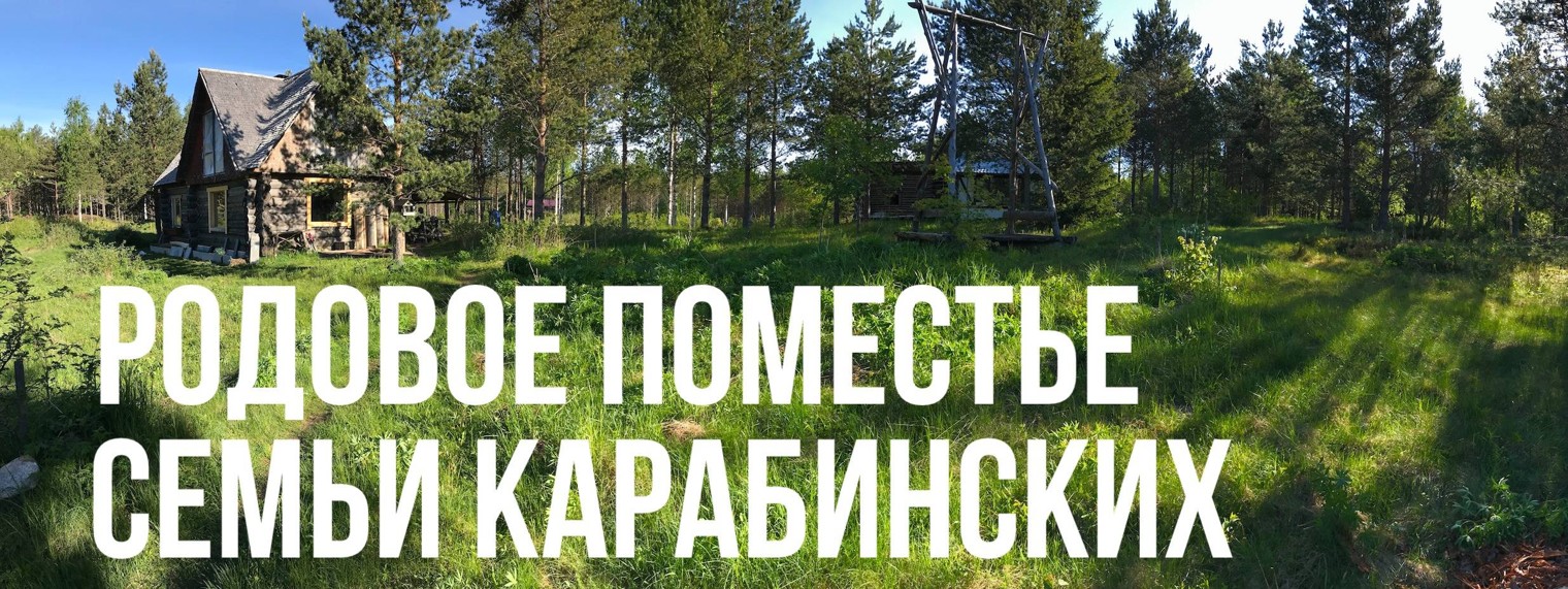 Вадим Карабинский