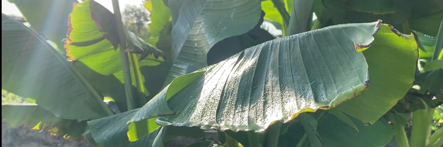 Валентина Земскова