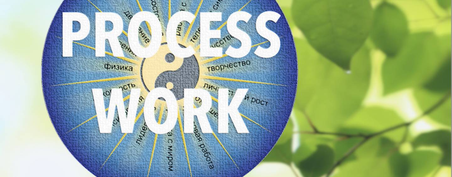 Процессуальная психология с Людмилой Сербиной