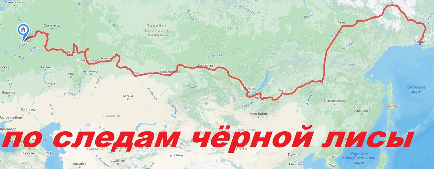 ПО СЛЕДАМ ЧЁРНОЙ ЛИСЫ