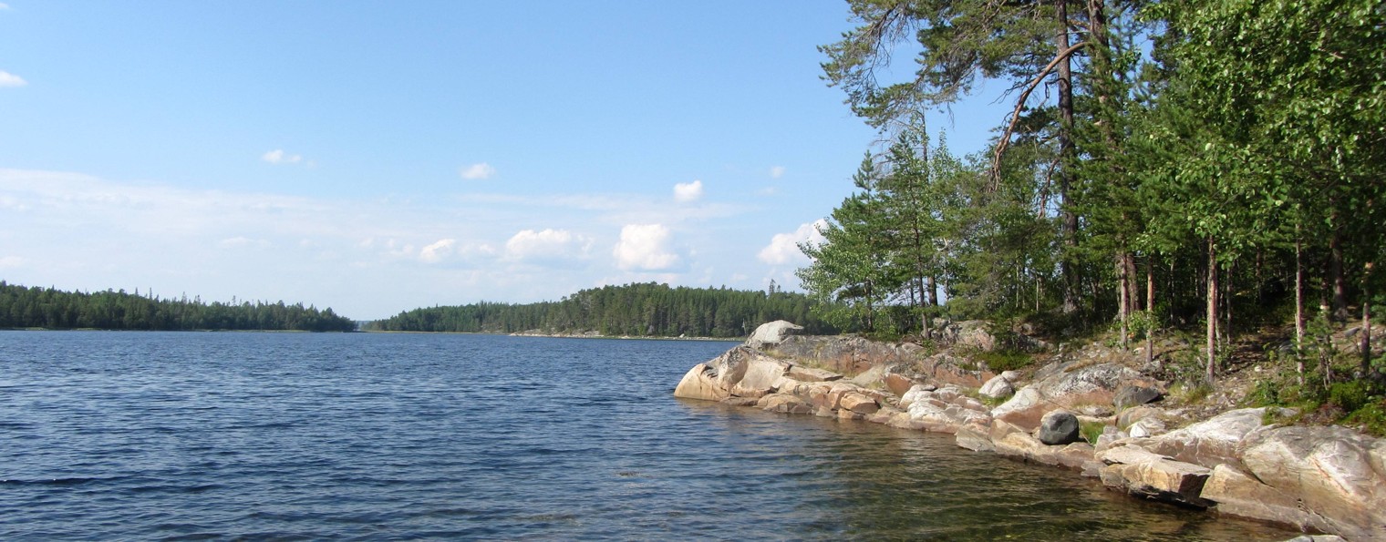Kotyara.