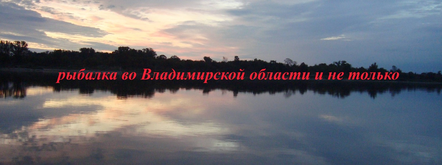 Евгений Рыбалка Волков