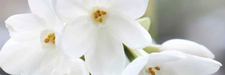 🦋 Старовойтова Анна Анатольевна🦋