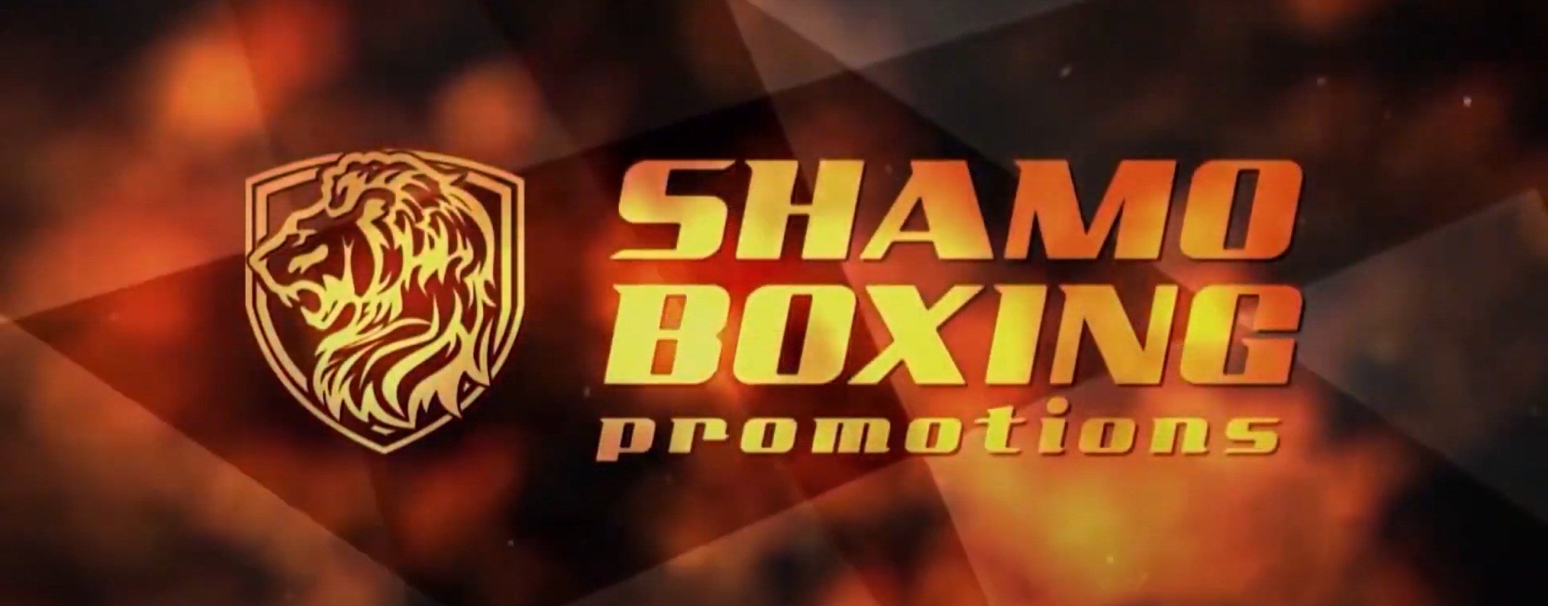 SHAMO BOXING