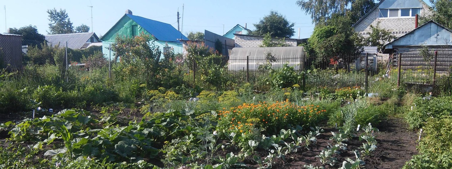 Любимый зятёк