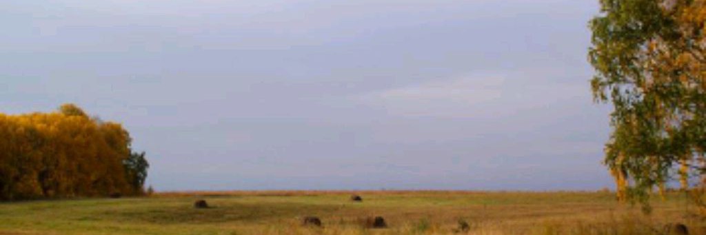 Ульянины Басики