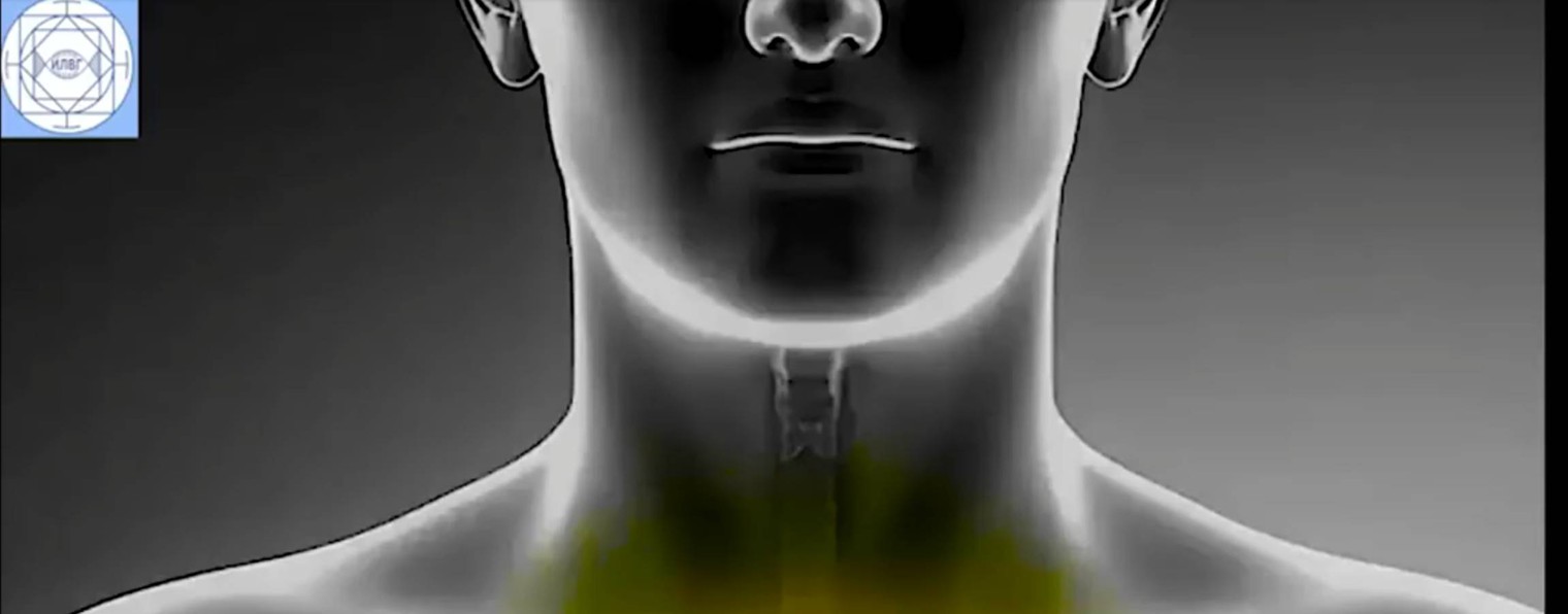 Матрицы Гаряева