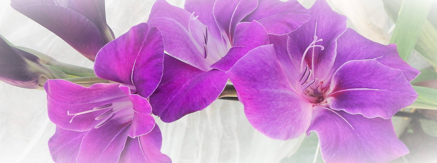 Претворяем в жизнь замысел Бога