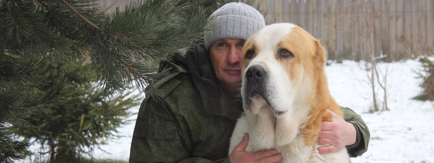 Питомник среднеазиатской овчарки "Сары Шайтан"