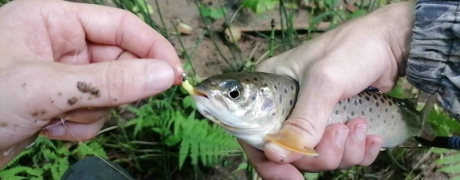 Моя Рыбалка