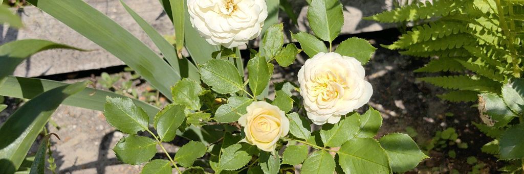 Анастасия_life Vlog