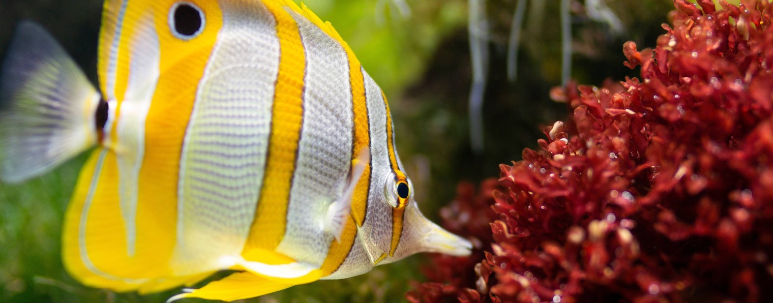 Жизнь в моментах.