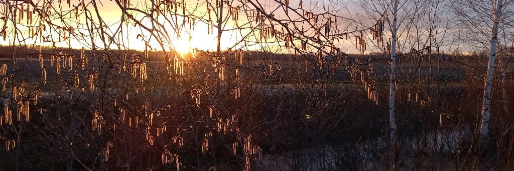 Сергей Крехтунов