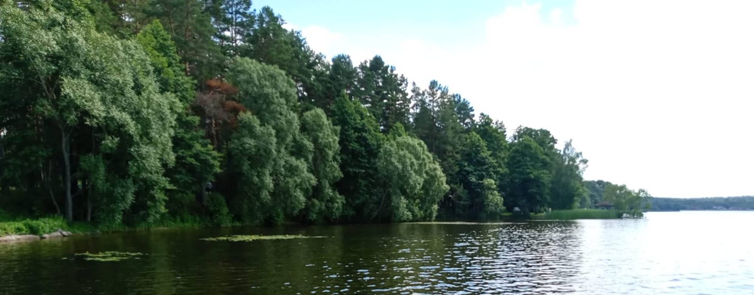 Александр Онищенко