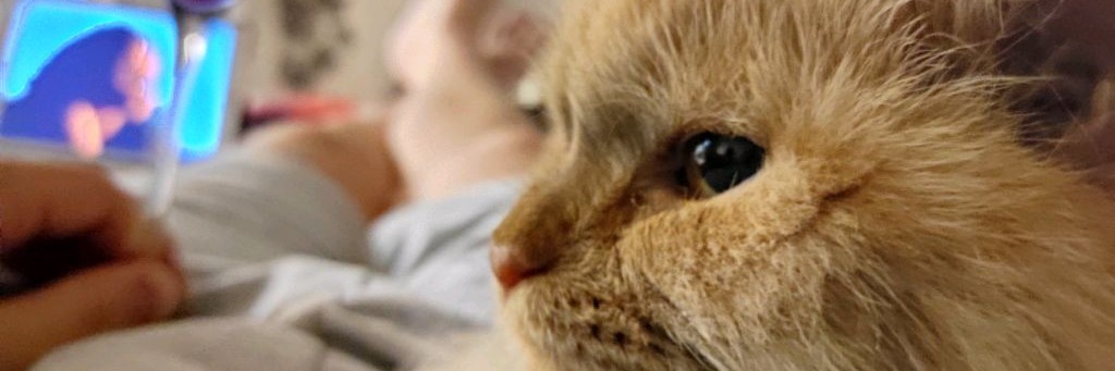 Yurk Family Channel. Memory Diary.