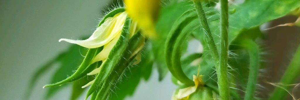 Андрей Терехов