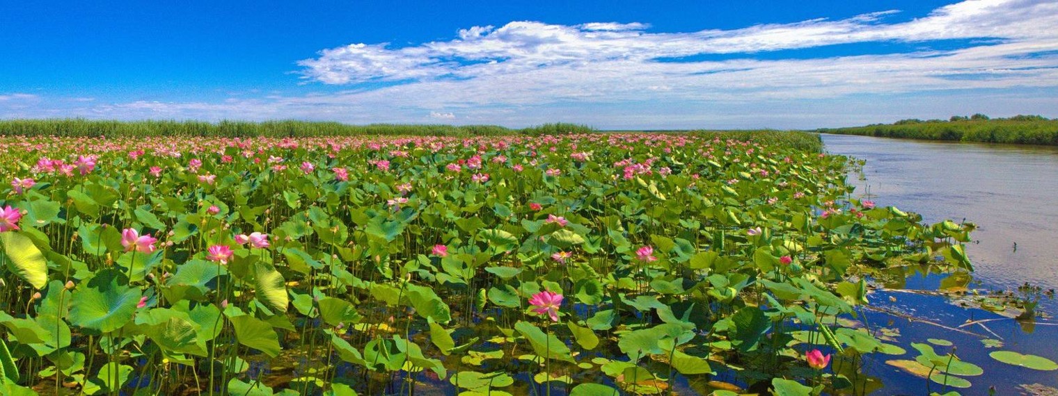 Валентина Балашова