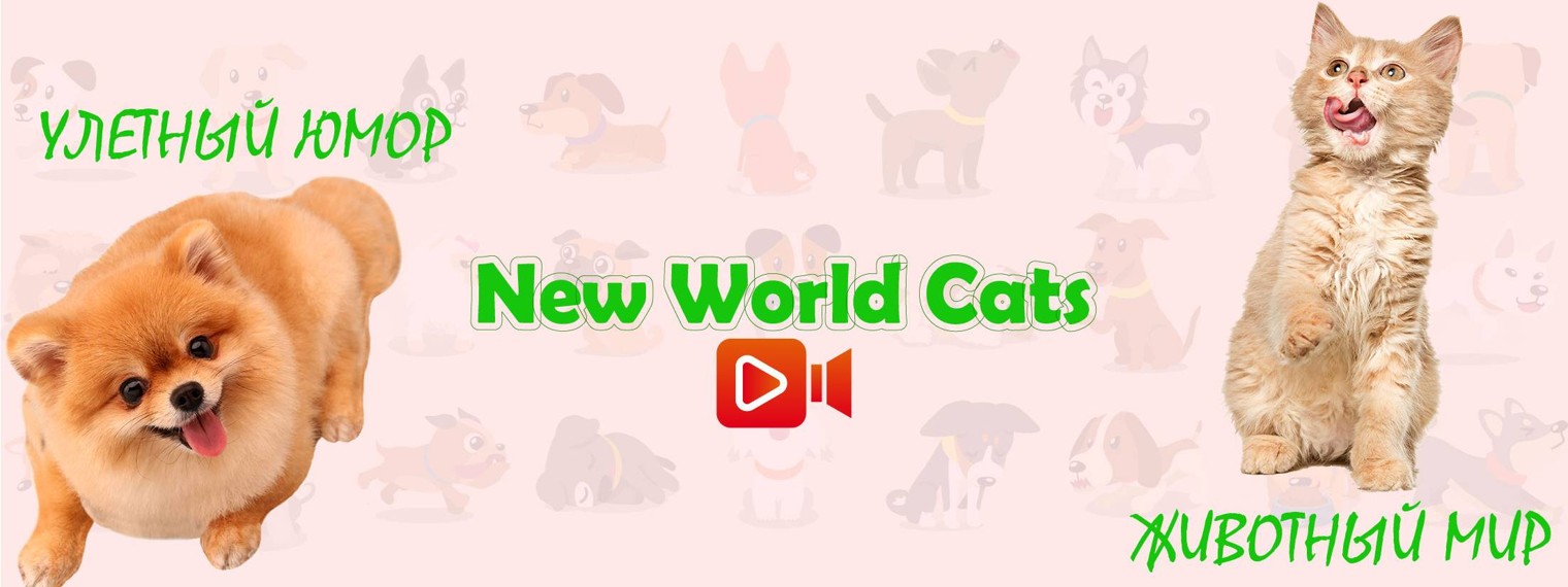 ✅ Приколы с животными - Улетный Юмор