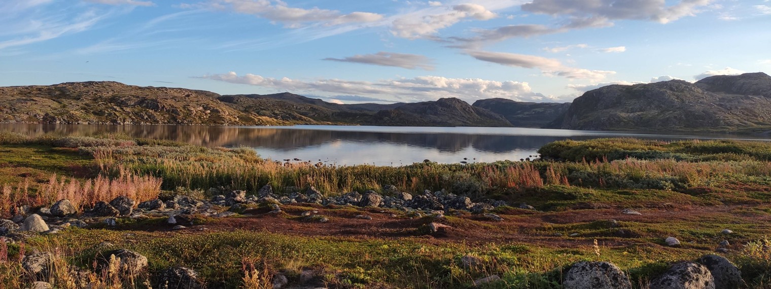 Жизнь с Корги