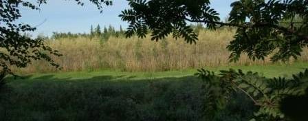 Татьяна Фефилова