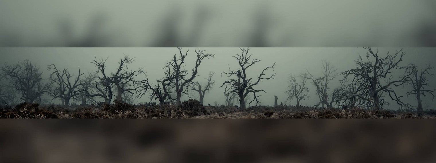 Хугунрег - летсплеи стратегий, RPG, survival