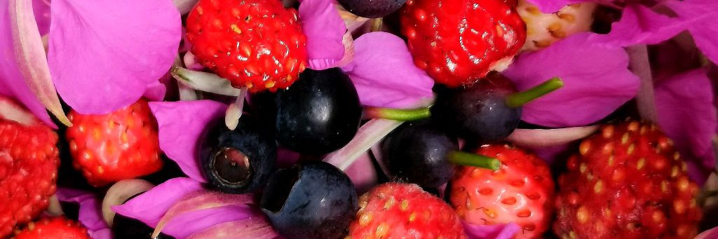 ДикаяЧаша (Wild Bowl)