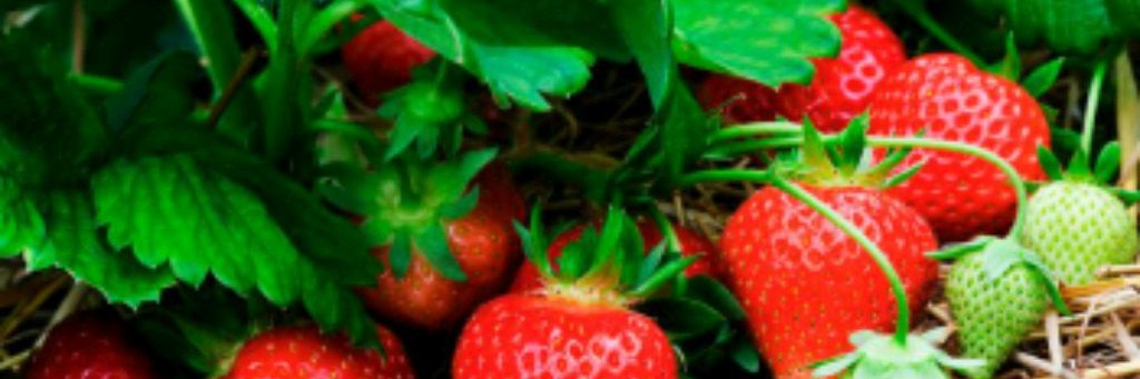 Виталий Белин ТВ