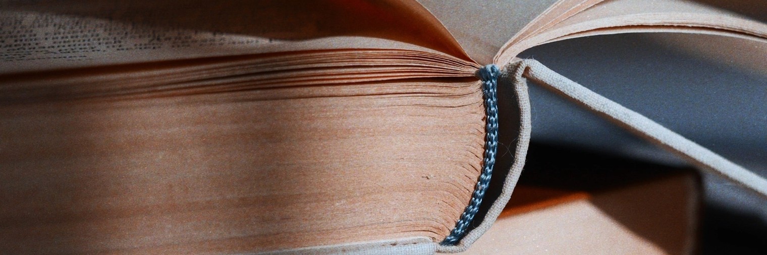 Дочитаю и спать!