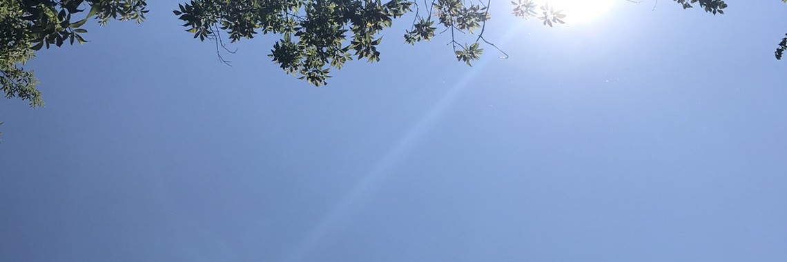 Елена Коптева