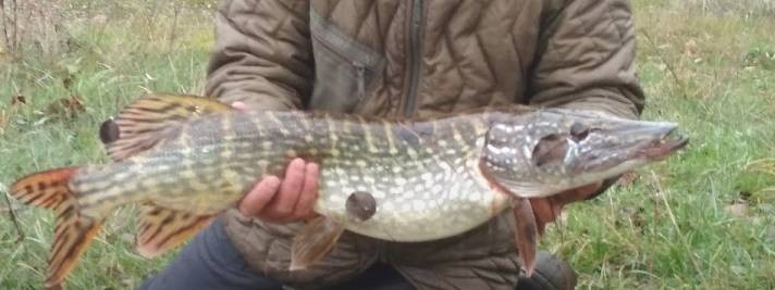 Чудная Рыбалочка